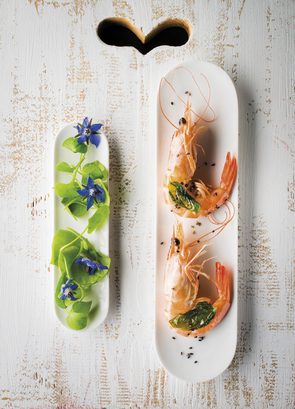 In the kitchen - Obsiblue