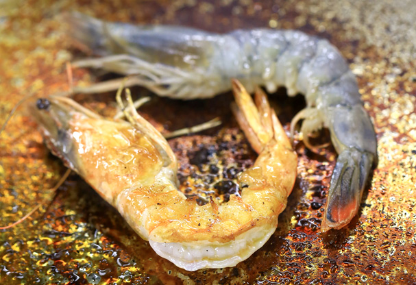 En cuisine - Obsiblue