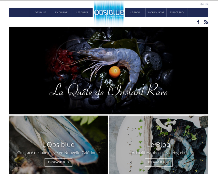 Obsiblue new website - Obsiblue