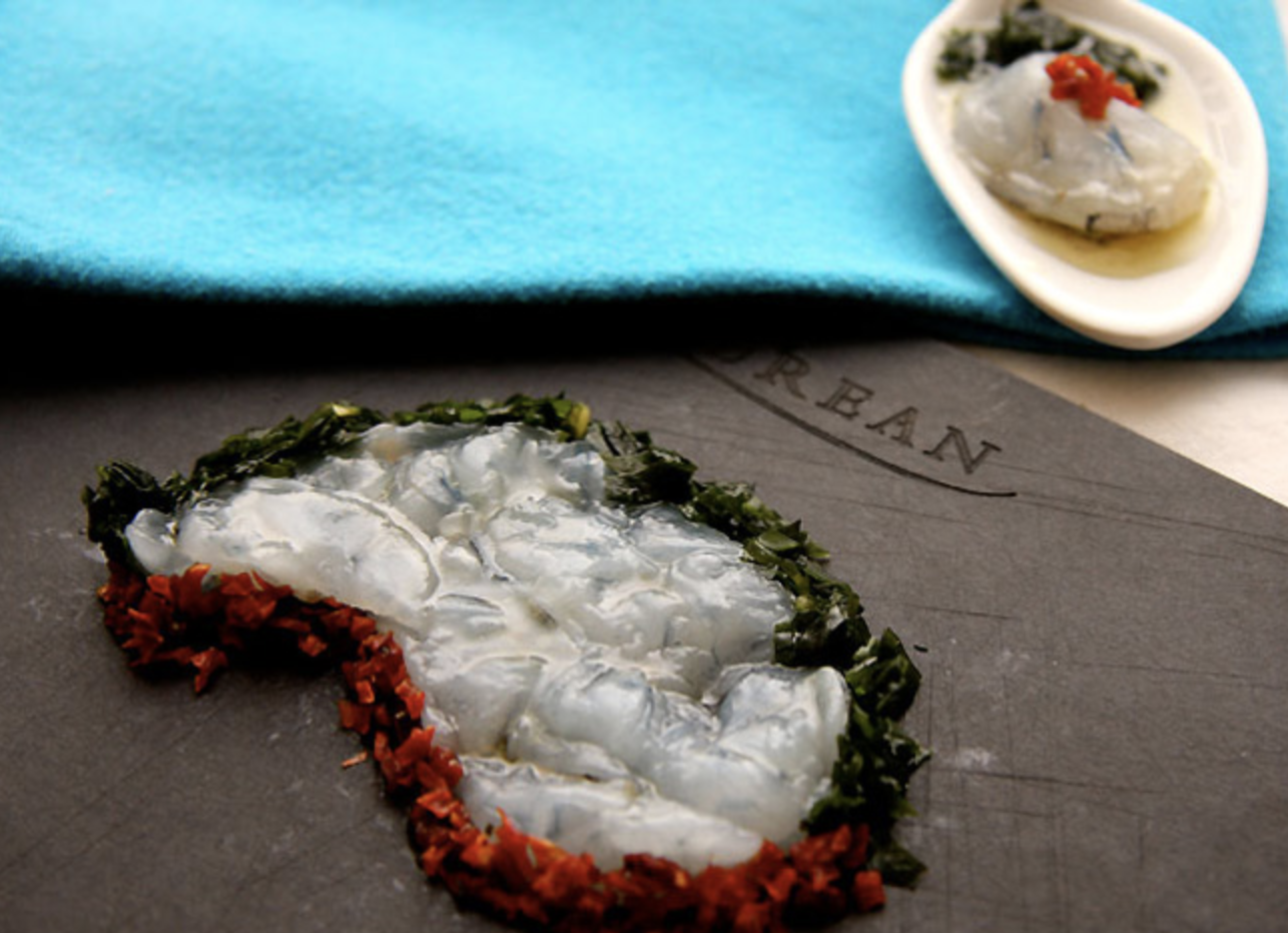 The chefs - Obsiblue